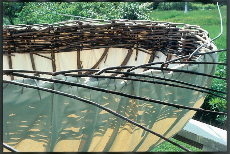 How to Build a Coracle Boat – Mother Earth News